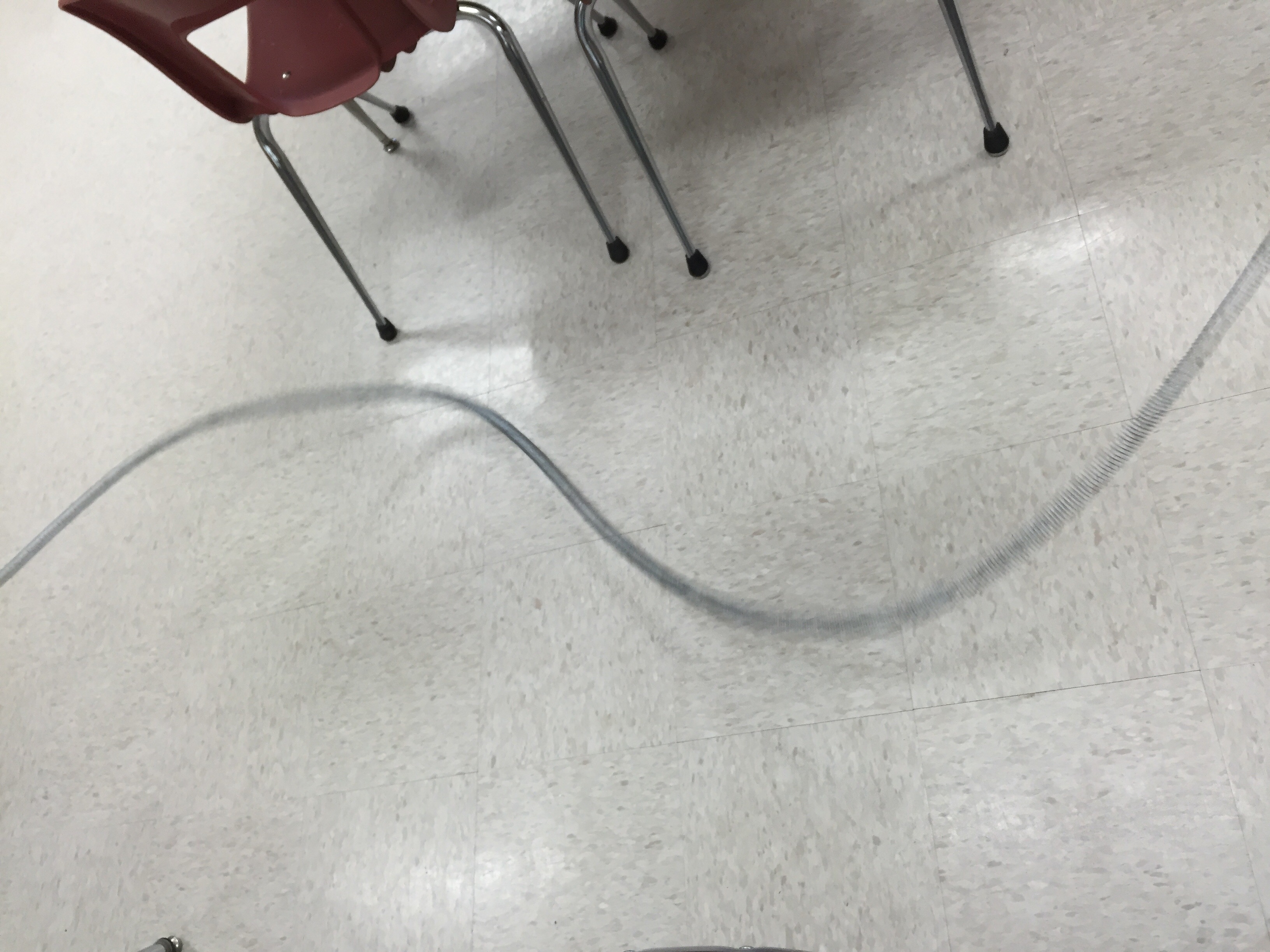 Day 126: Snakey Springs & Molar Mass | stoeckel180